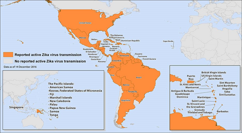 ZIKA – 10 things you should know: – Sante Kildare